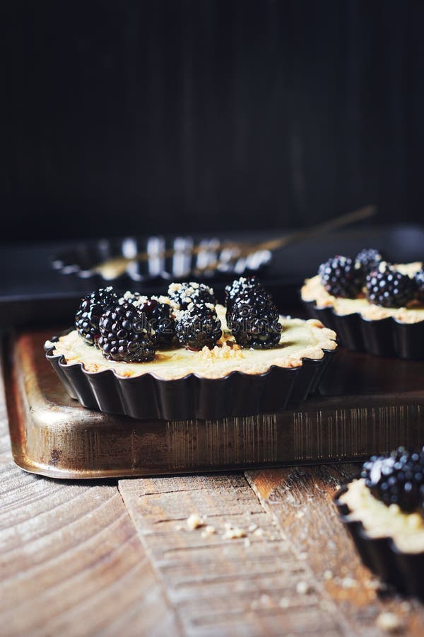 Blackberry mini tarts stock image. Image of closeup - 237843333