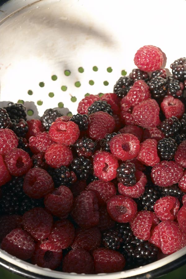 Blackberry and raspberry stock image. Image of healthy - 1597053