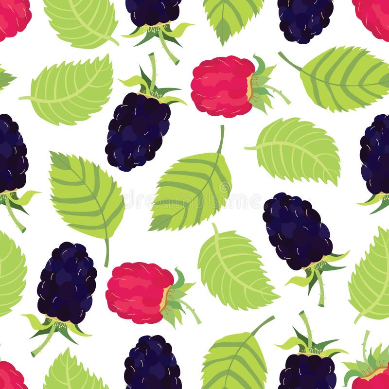 Raspberry on a Red Background Stock Illustration - Illustration of ...