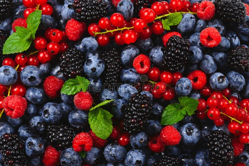 Blackberry, Raspberry, Blueberry, Red Currant And Mint Background Stock ...