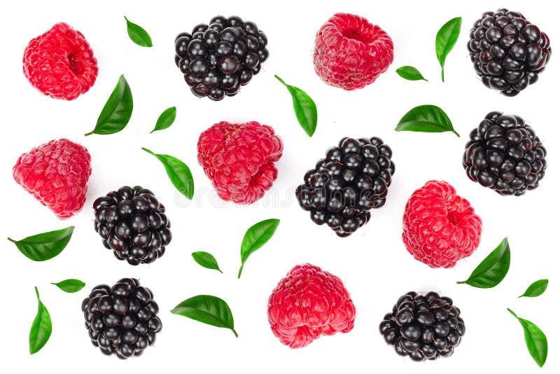 Blackberry and Raspberry with Leaves Isolated on White Background. Top ...