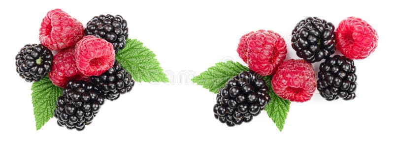 Blackberry and Raspberry with Leaves Isolated on White Background. Top ...