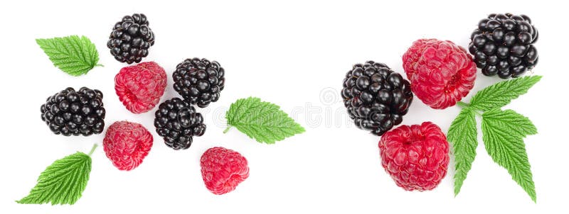 Blackberry and Raspberry with Leaves Isolated on White Background. Top ...