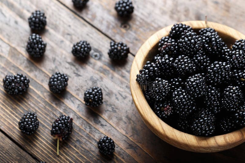 Blackberry is scattered stock photo. Image of diet, berry - 97534414
