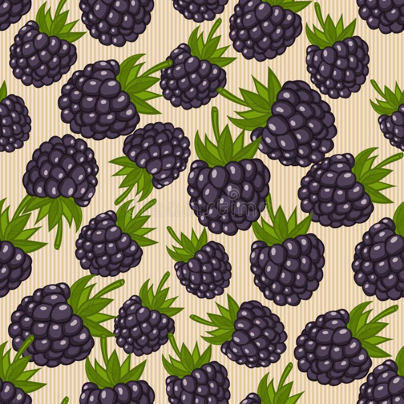 Blackberry Seamless Pattern Stock Vector - Illustration of juicy ...