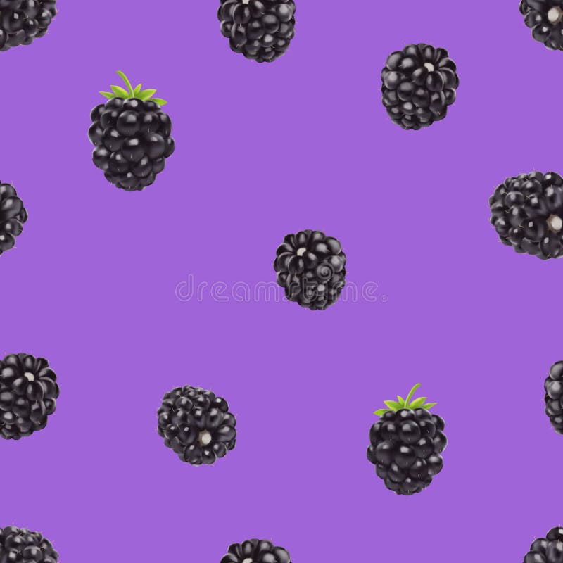 Blackberry Seamless Pattern. 3d Realistic Vector Berries. Stock Vector ...