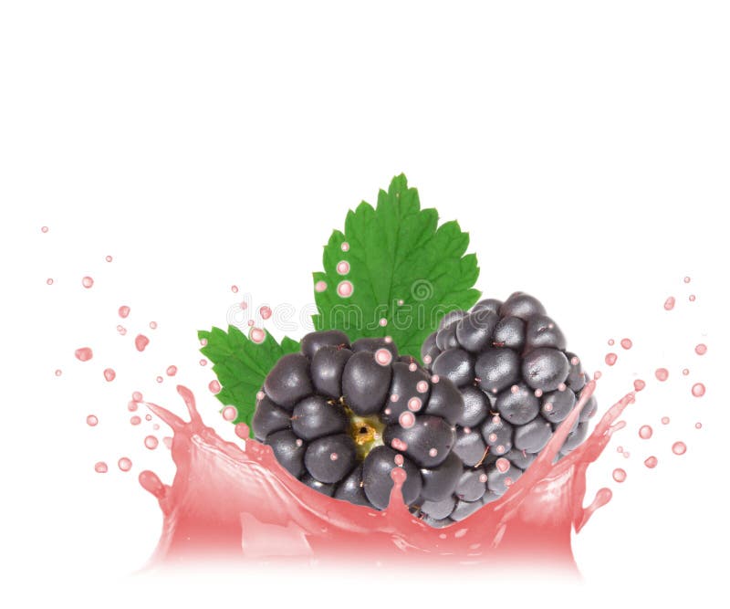 Blackberry splash stock image. Image of liquid, healthy - 25497747