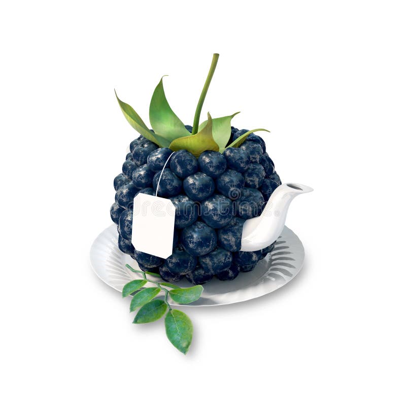 Blackberry tea stock image. Image of healthy, fresh, kettle - 55635315