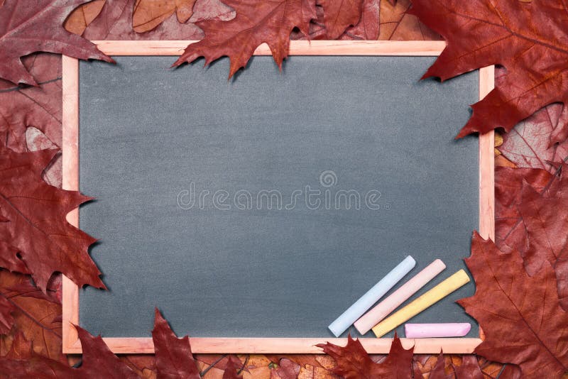 Blackboard for Study on a Background of Autumn Dry Leaves Stock Image ...