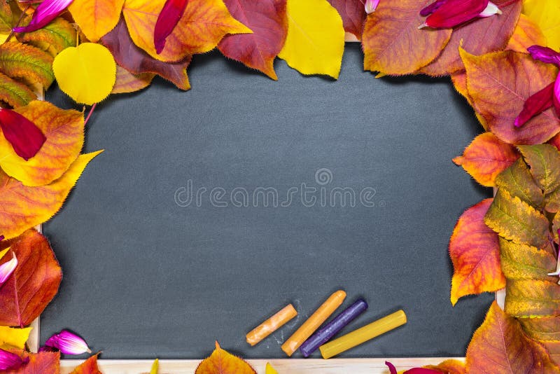 Blackboard for Study on a Background of Fresh Autumn Leaves Stock Photo ...