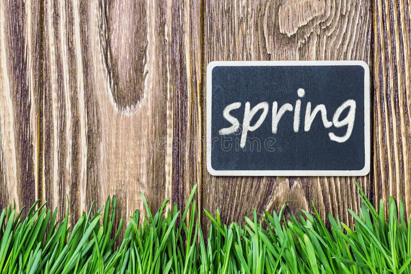 Empty Blackboard with Wooden Frame Stock Image - Image of education ...