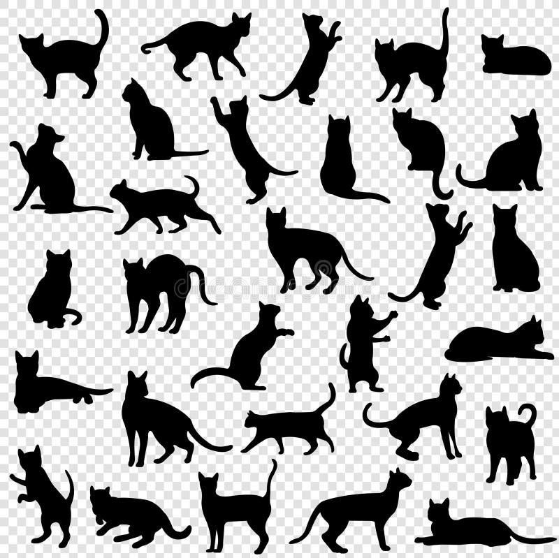 BlackCat Set Isolated Transparent Background Stock Vector ...