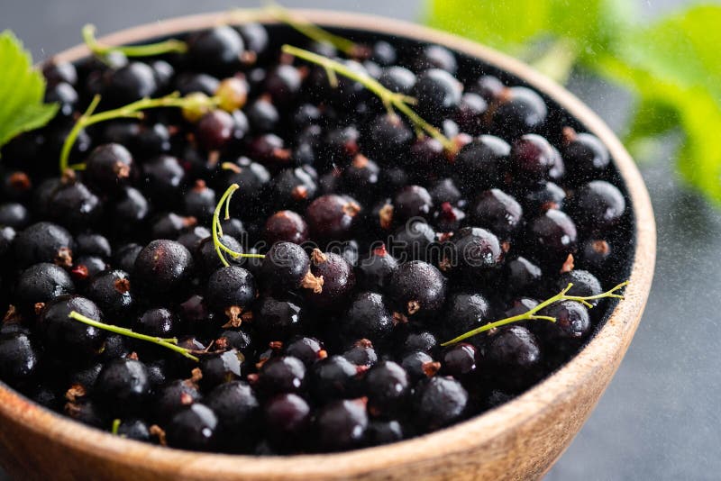 Blackcurrant Berries with Leaves, Blackcurrant in a Bowl. Stock Image ...