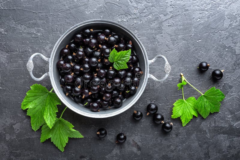 Blackcurrant Bessen Met Bladeren, Zwarte Bes Stock Afbeelding - Image ...