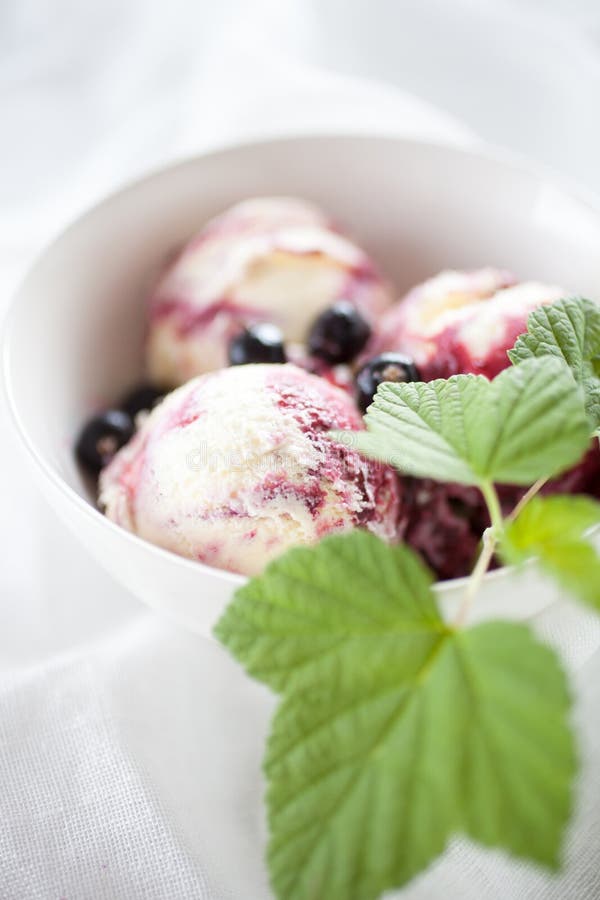 Blackcurrant ice cream stock image. Image of cold, sorbet - 118245075