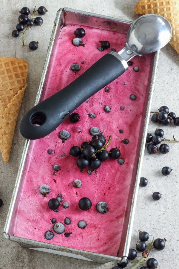Blackcurrant Ice Cream stock photo. Image of blueberry - 96149208