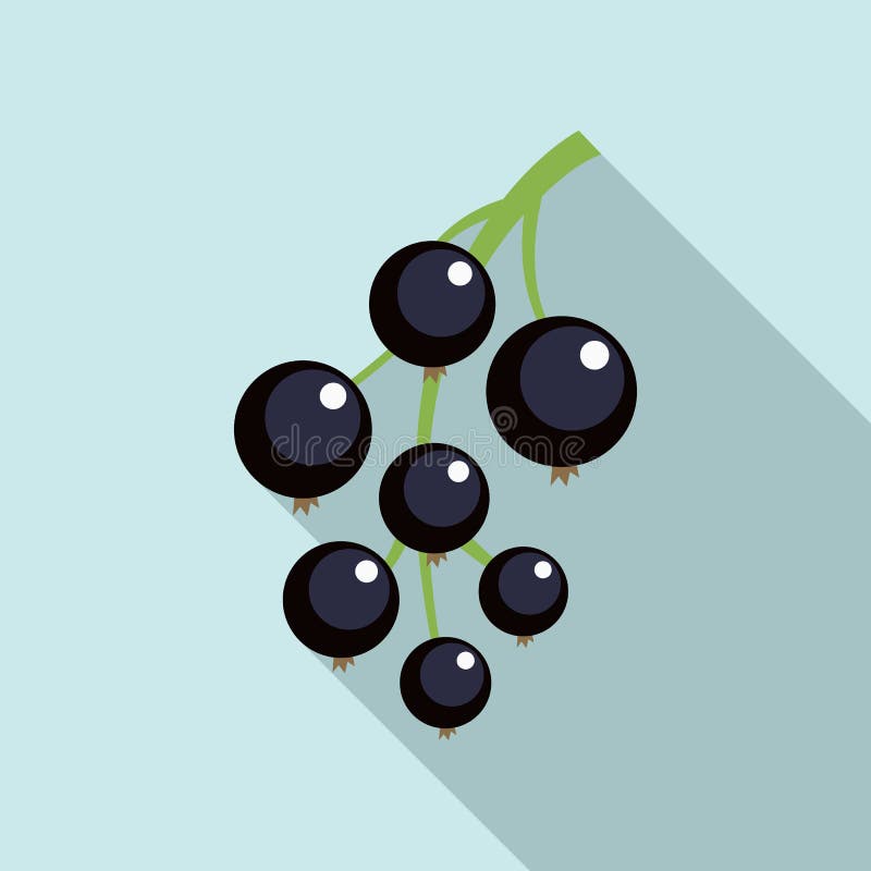 Blackcurrant Bunch Stock Illustrations – 485 Blackcurrant Bunch Stock ...
