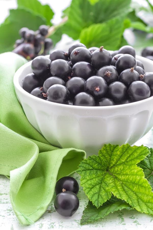 Blackcurrant stock image. Image of leaves, heap, nature - 40516065