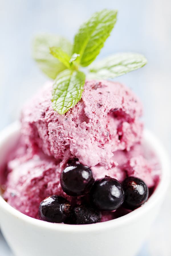 Blackcurrant dessert stock photo. Image of black, sorbet - 17121404