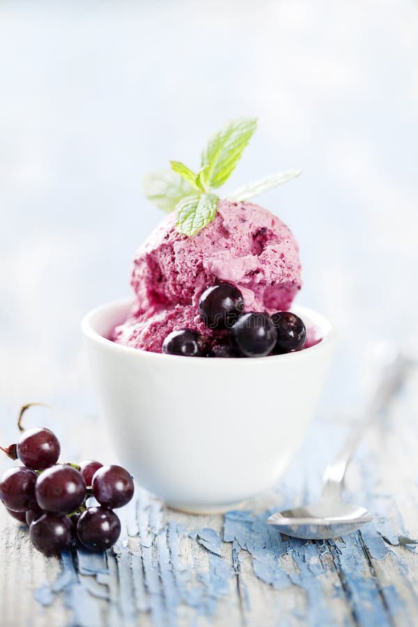 Blackcurrant dessert stock photo. Image of black, sorbet - 17121404