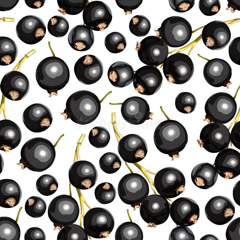 Blackcurrant Stock Illustrations – 2,748 Blackcurrant Stock ...