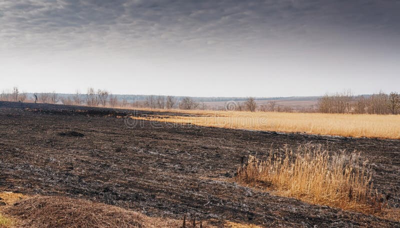 Burned Fields Showcasing the Aftermath of Fire in a Rural Landscape ...