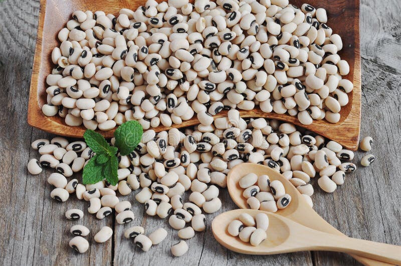 Blackeyed Beans. Vigna Unguiculata . Vigna Sinensis. Stock Photo ...