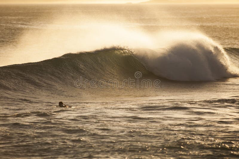 Blackhead Beach, NZ stock image. Image of ocean, evening - 26236477