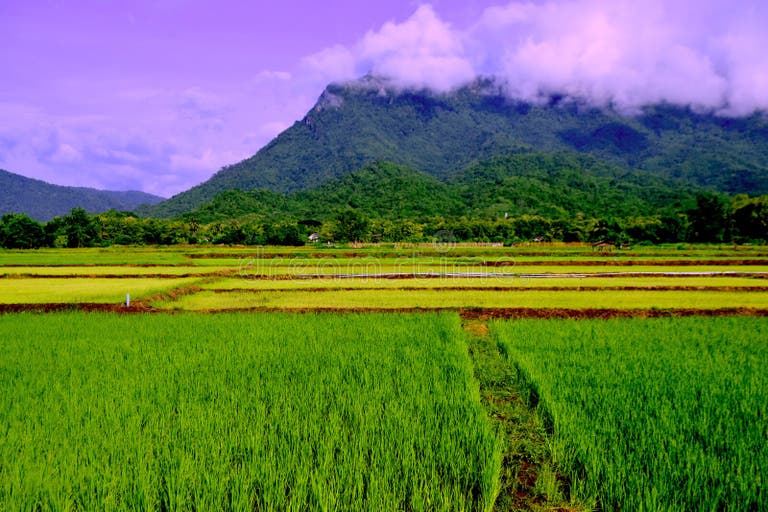 Blackout level. Now how stock photo. Image of call, level - 254557896