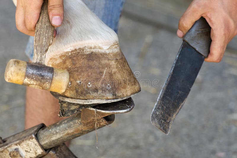 Blacksmith stock image. Image of nailing, nail, hole - 34919199