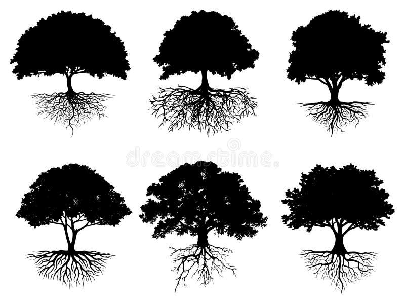 Collection Isolated Trees and Roots Symbol Silhouette Style. Stock ...