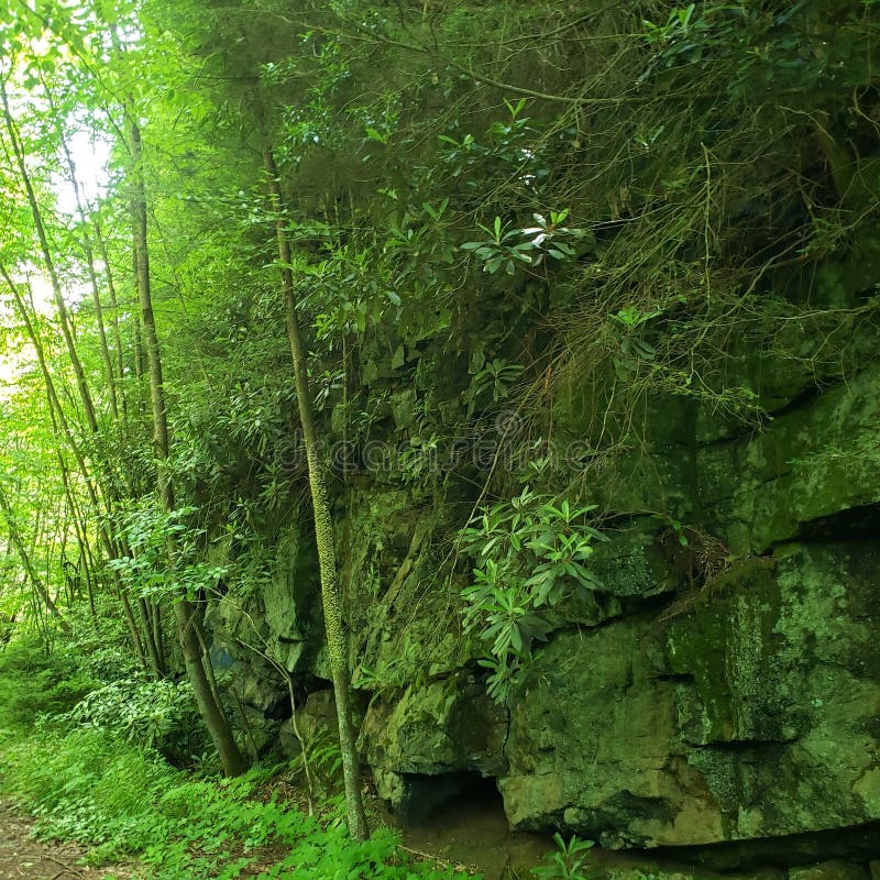 Blackwater Canyon Rail Trail, West Virginia Stock Image - Image of ...