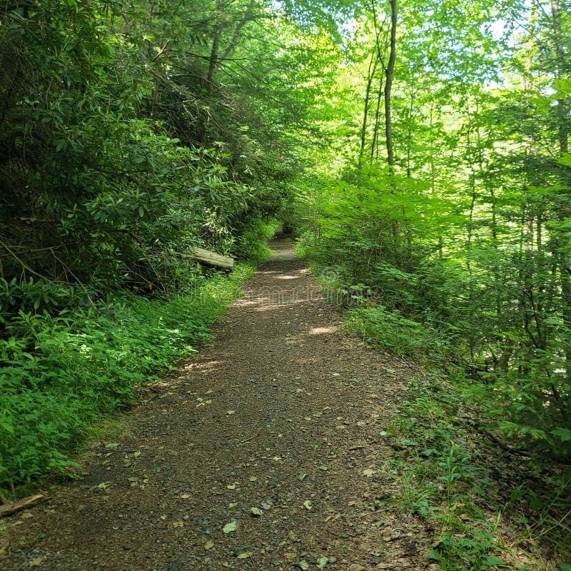 Blackwater Canyon Rail Trail, West Virginia Stock Photo - Image of ...