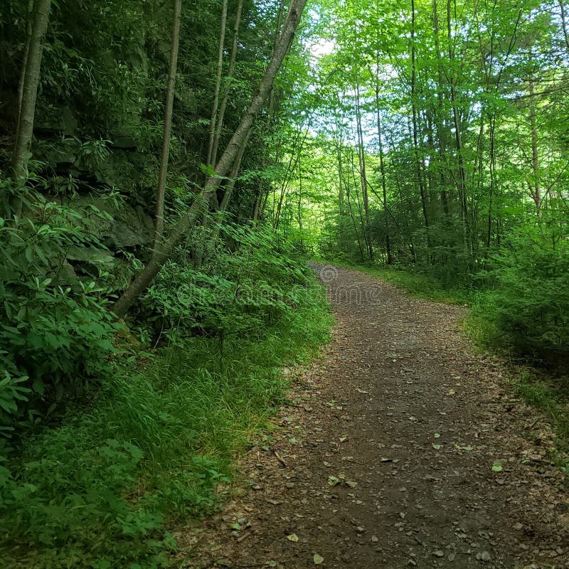 Blackwater Canyon Rail Trail, West Virginia Stock Image - Image of ...