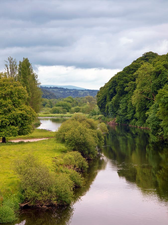 Blackwater River stock image. Image of peace, river, trees - 5576727