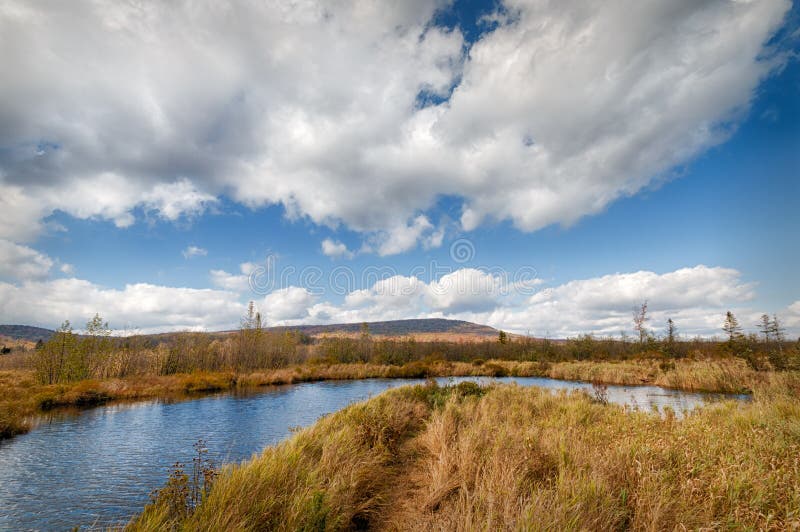 Blackwater River at Canaan stock image. Image of landscape - 267228819