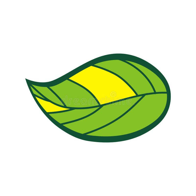 Groen blad (Vector) vector illustratie. Illustration of versheid - 9679606