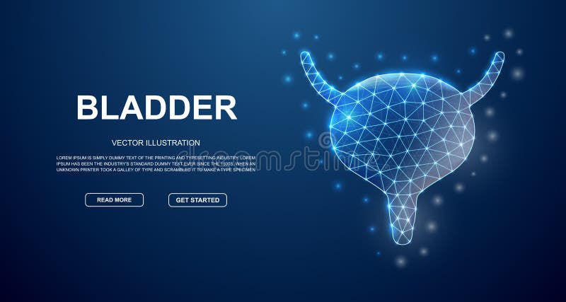 Bladder 3d Low Poly Symbol with Connected Dots for Blue Landing Page ...