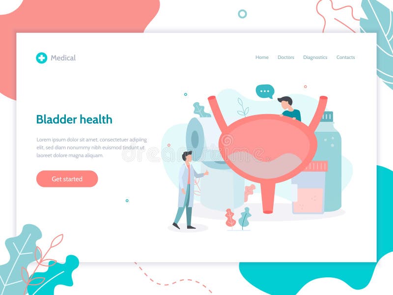 Bladder Health Medical Web Page Stock Vector - Illustration of element ...