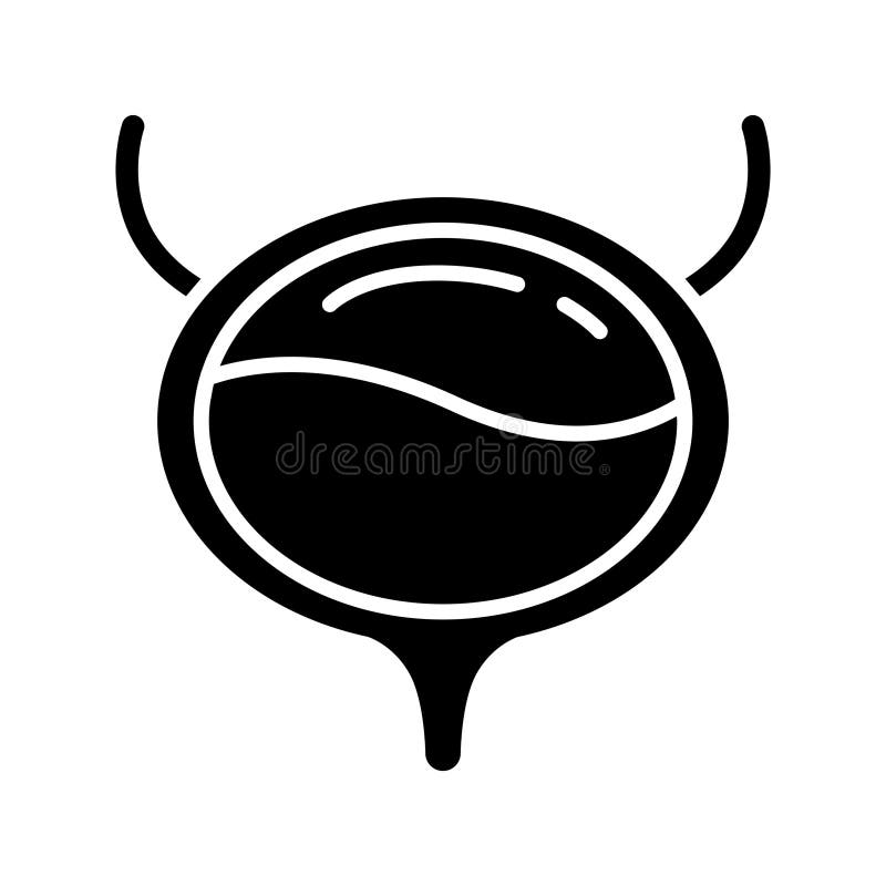 Bladder Icon Design in Black Silhouette Style, Internal Organ Vector ...