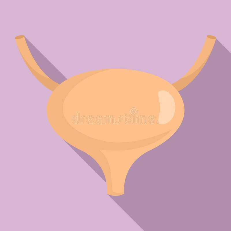 Bladder Icon, Flat Style. Internal Organs Of The Human Design Element, Logo. Anatomy, Medicine ...