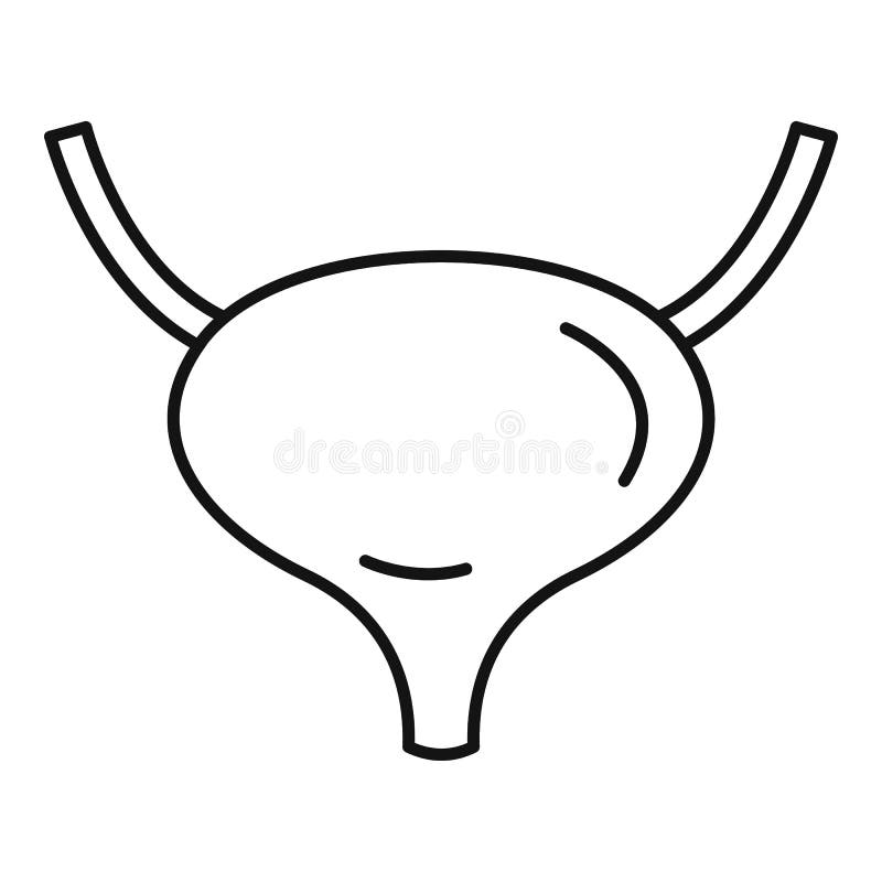 Outline Bladder Vector Icon. Isolated Black Simple Line Element ...