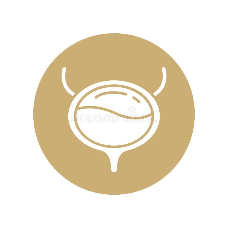 Bladder Icon Vector Illustration Design, Circle Shape Flat Icon Design Bladder, Human Internal ...