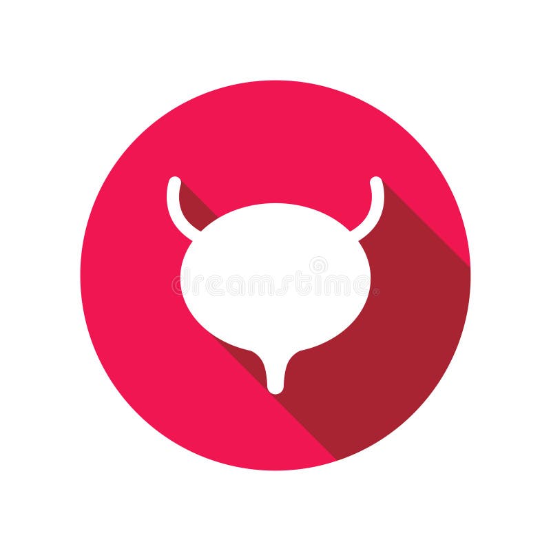 Bladder Icon Vector Illustration Design, Circle Shape Flat Icon Design Bladder with Long Shadow ...