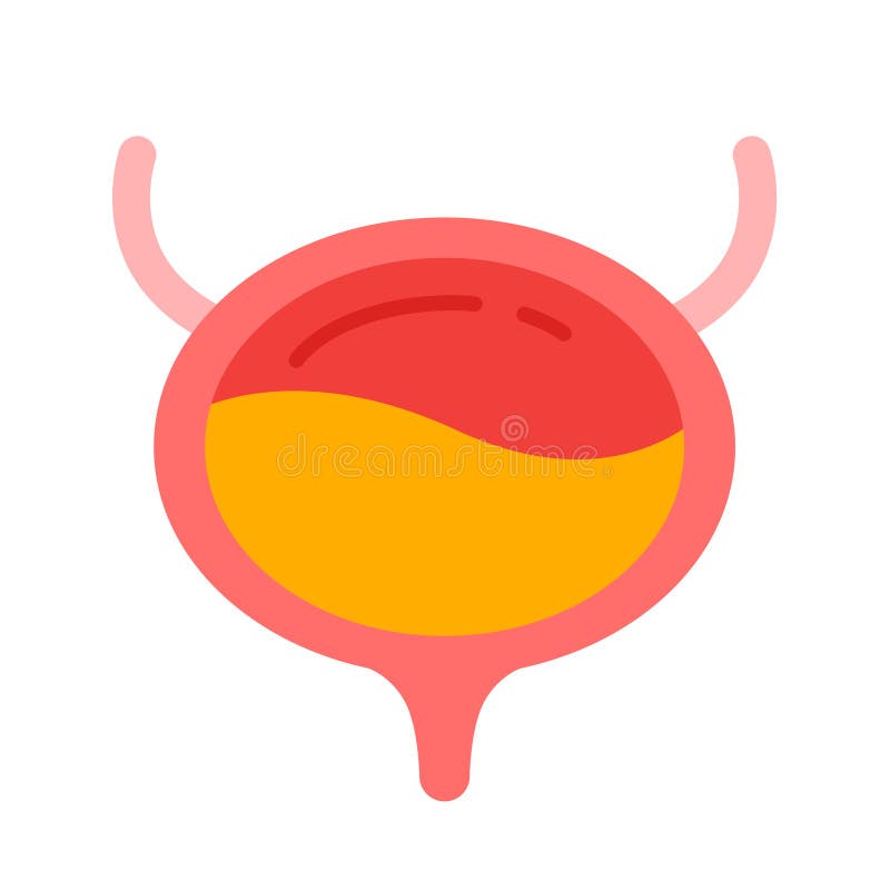 Bladder Icon Vector Illustration Design, Cute Flat Icon Design Bladder ...