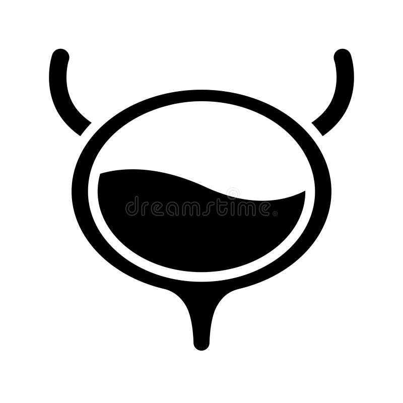 Bladder Icon Vector Illustration Design, Human Internal Organ, Black on ...