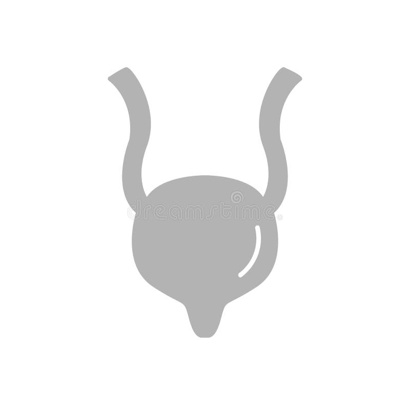 Bladder Icon on White Background, Vector Illustration Stock Vector ...