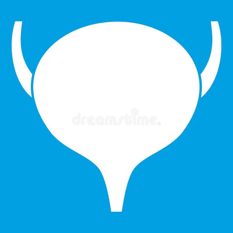 Bladder Icon on White Background, Vector Illustration Stock Vector ...