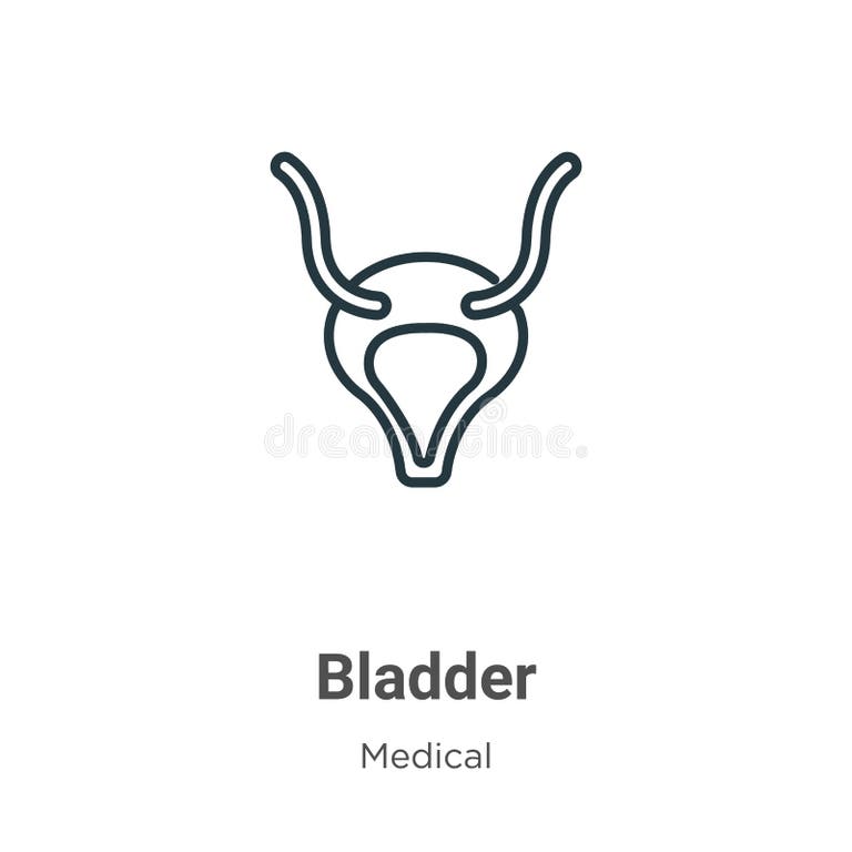 Bladder Icon Stock Illustrations – 9,094 Bladder Icon Stock ...