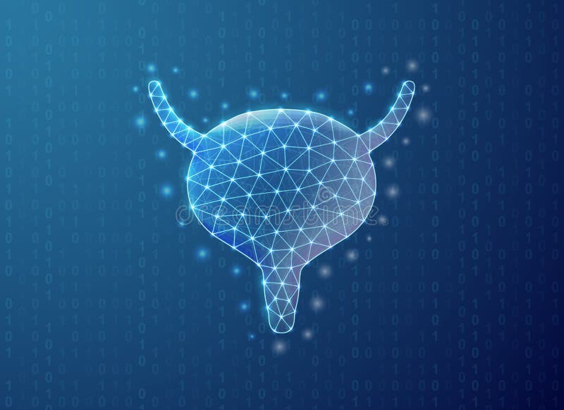 Bladder Polygonal Symbol with Binary Code Background. Reproductive ...